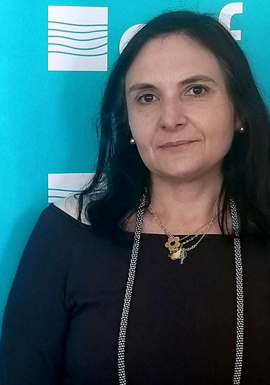 Webinar - Participantes - APMGF